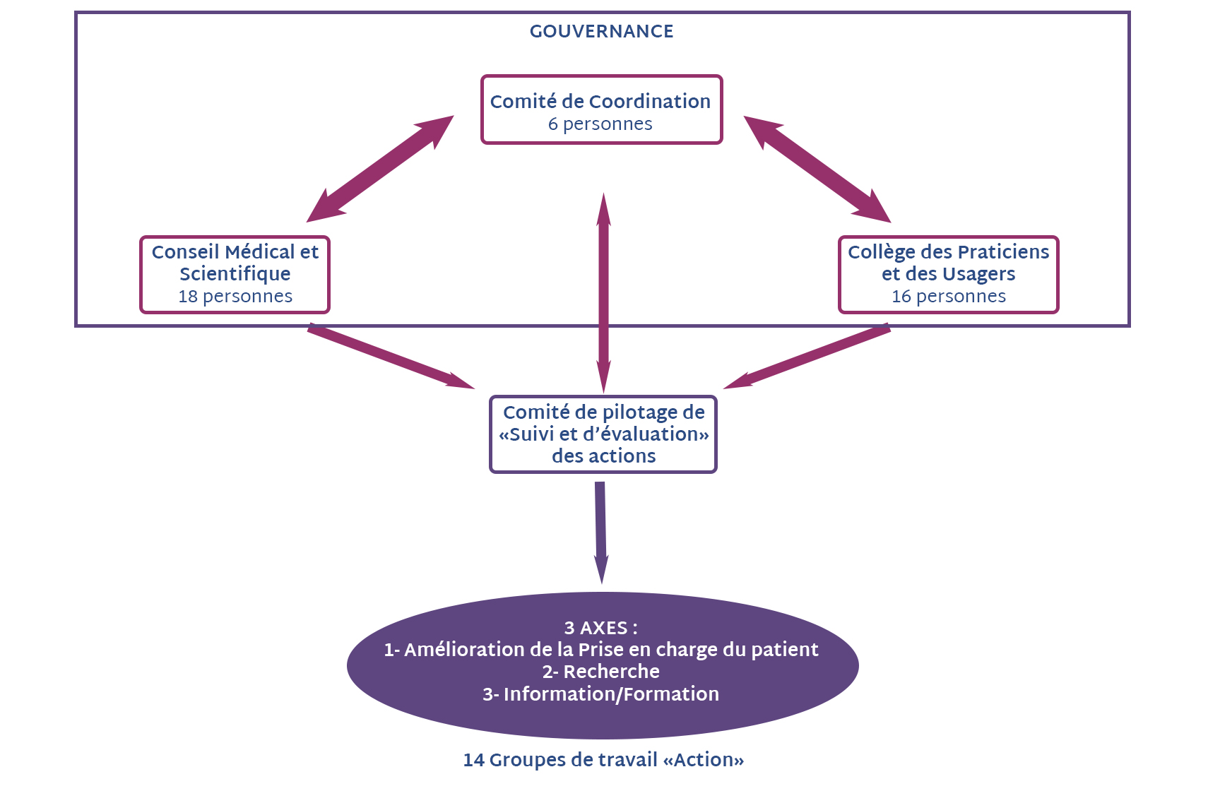 schema organisation - MHEMO MHEMO