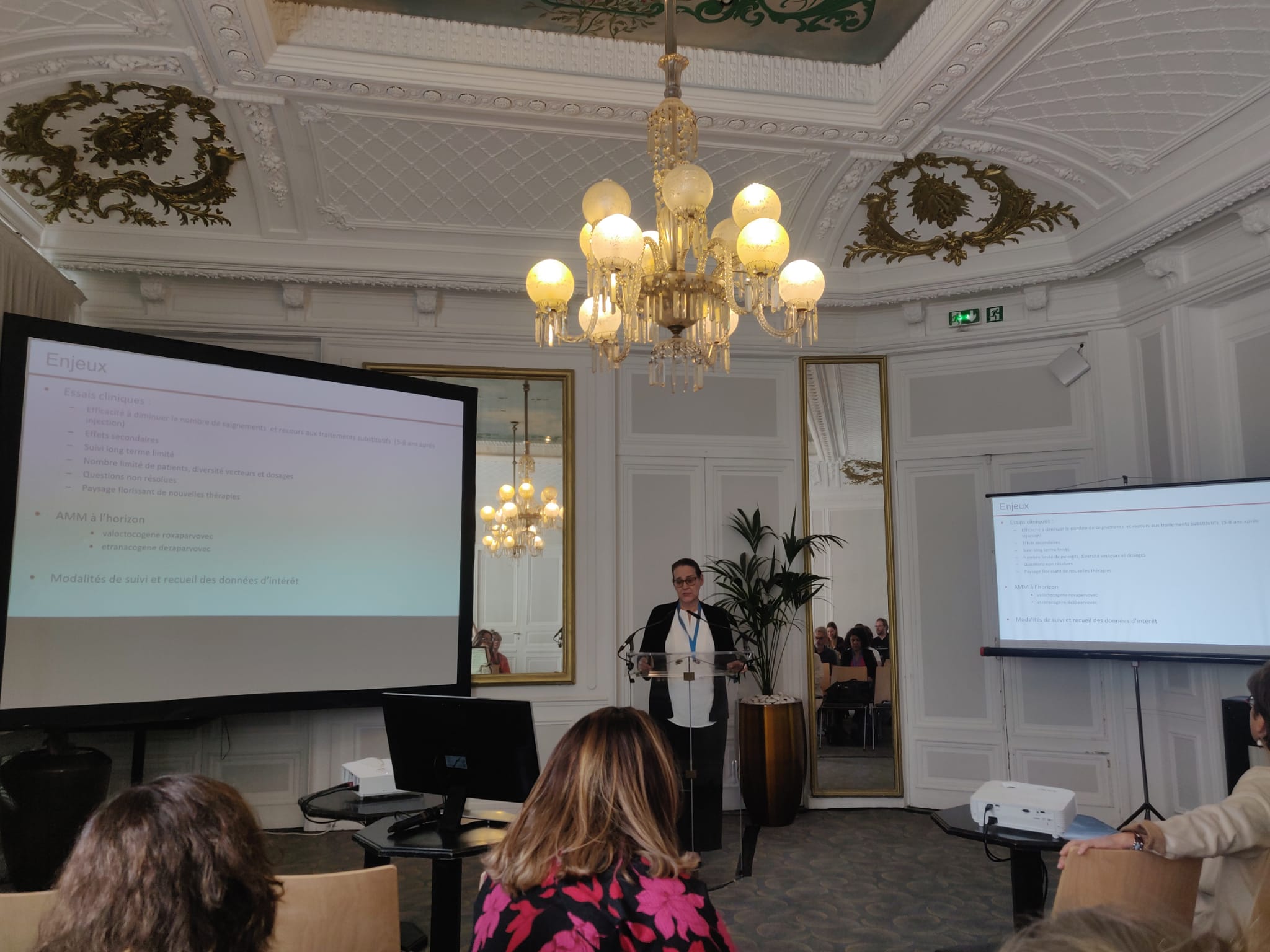 Retour sur la 5ème Journée Recherche MHEMO - MHEMO MHEMO